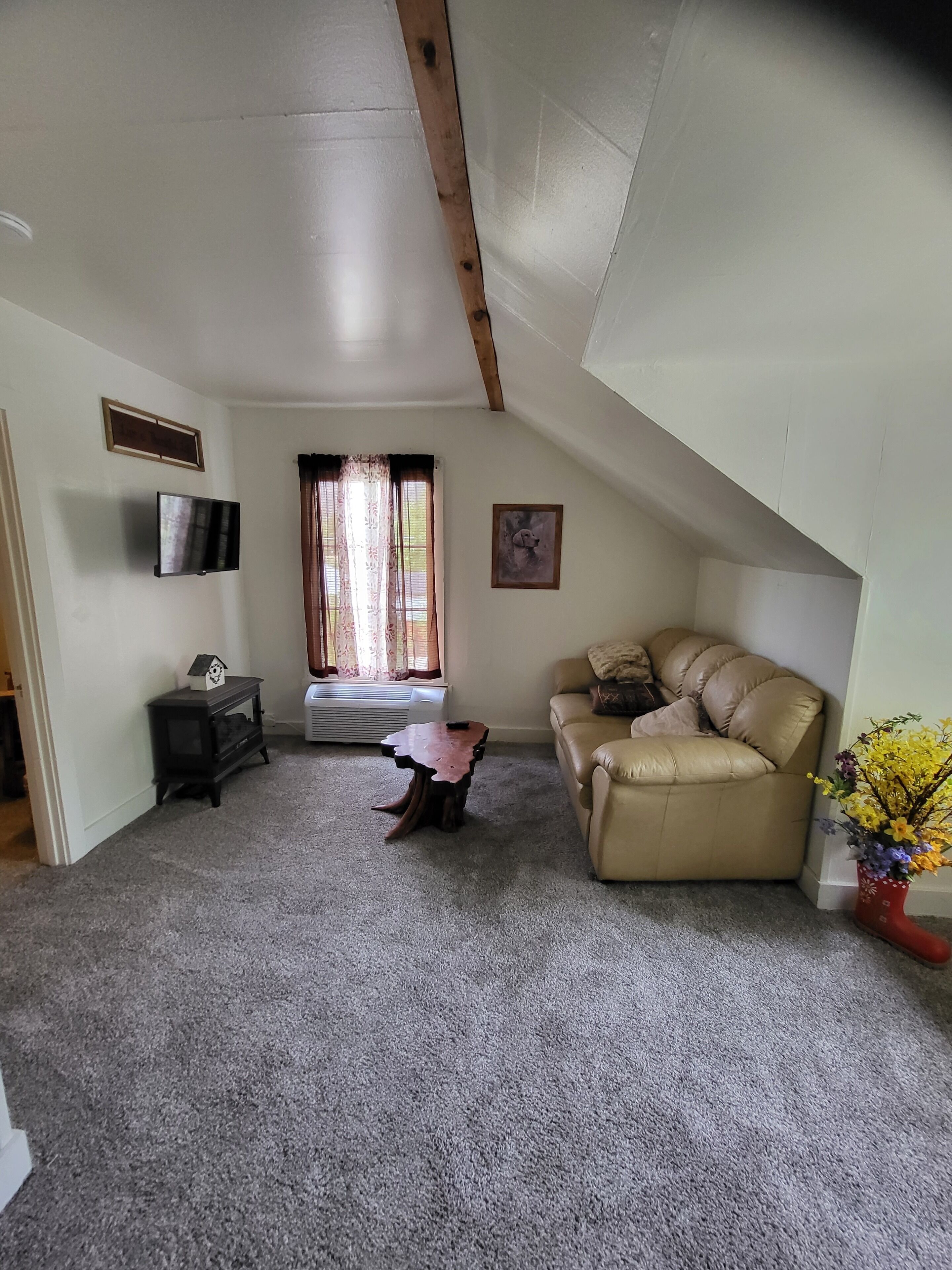 B. V. Mountain Retreat  -  Str-222 - Buena Vista