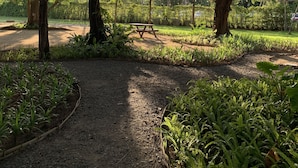 Um parque com trilha de terra, mesa para piquenique e vegetação exuberante.