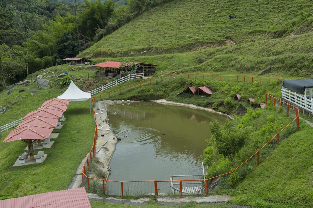 Hacienda Charrascal Coffe Farm - Manizales