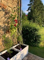 Apartamento | Varanda