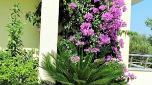 Um edifício com uma coluna, um arbusto grande com flores roxas e um corrimão.