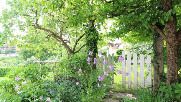 Um jardim com cerca branca de piquete, vegetação exuberante e plantas floridas.
