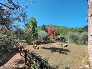 Casa | Jardim