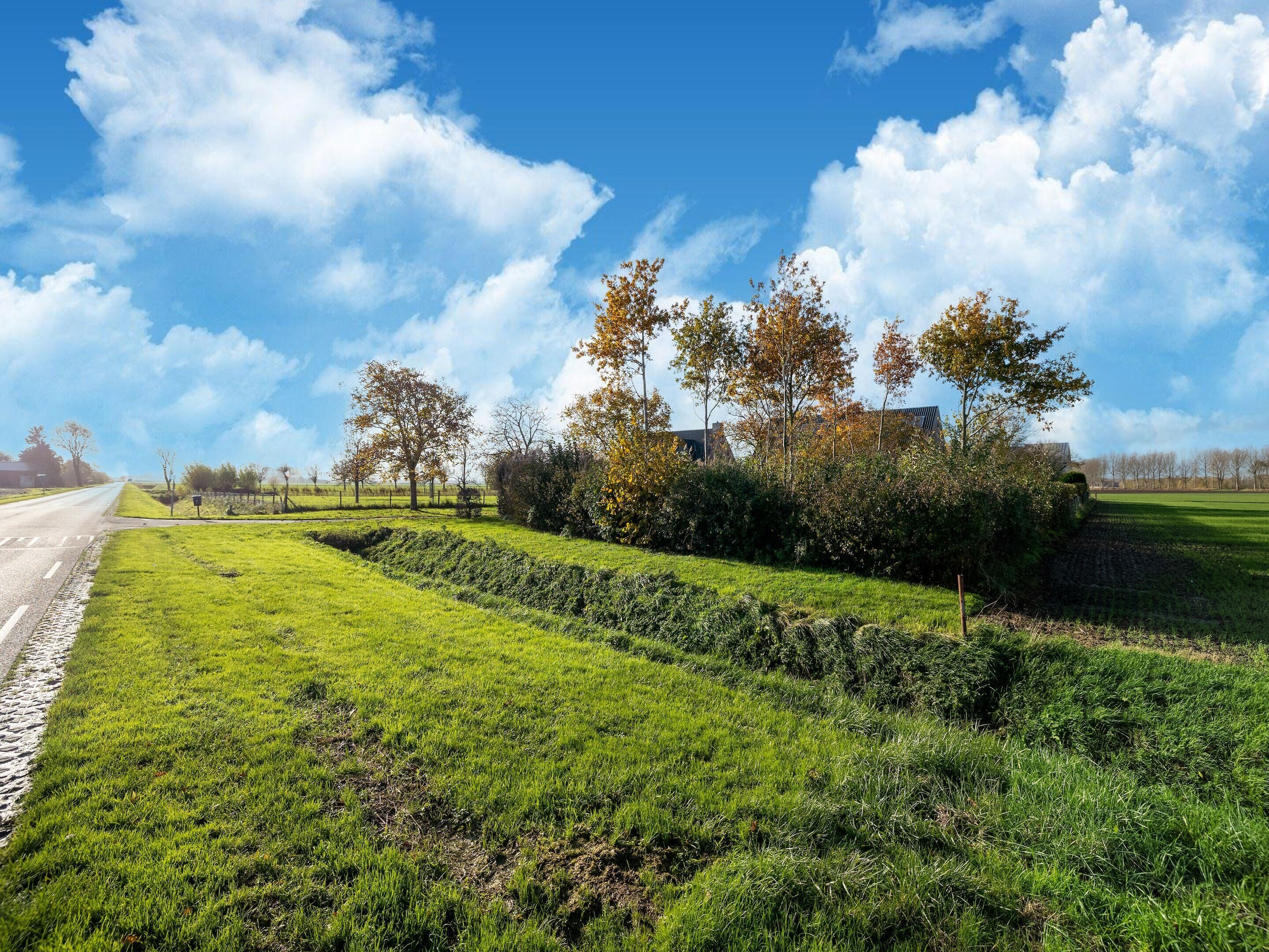 Paisagem rural com estrada, campos verdes e árvores.