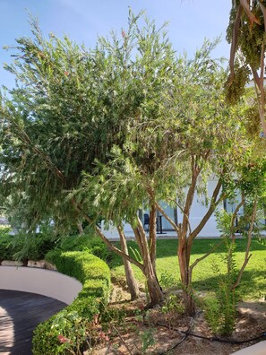 Terrenos do alojamento