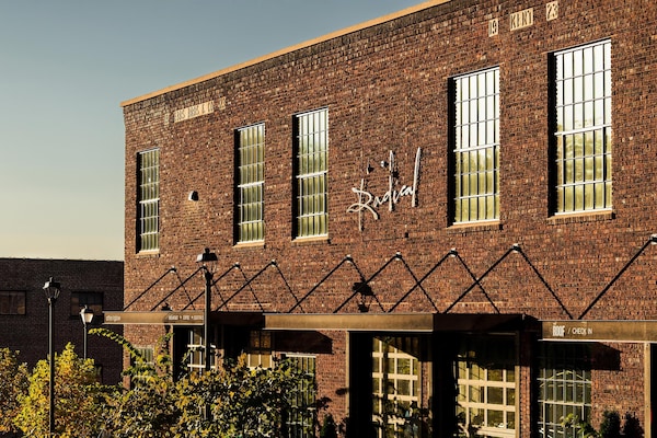 The Radical Asheville, Tapestry Collection By Hilton - Asheville, NC