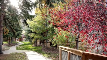 Apartamento em Condomínio Fechado, 2 quartos | Jardim