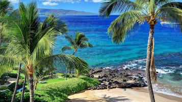 Apartamento em Condomínio Fechado, 2 quartos | Terrenos do alojamento