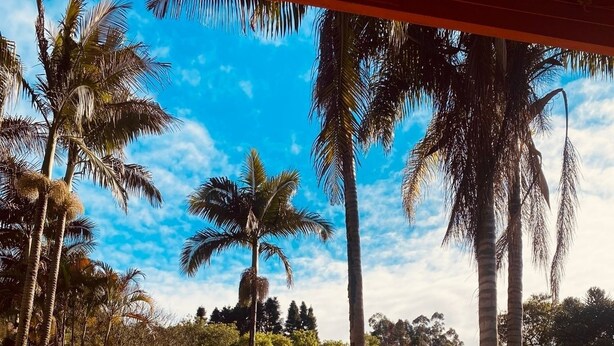 Uma área de piscina com caminho de pedra, palmeiras e cerca branca.