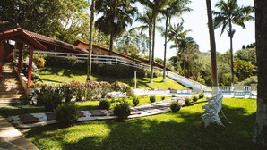 Um jardim com uma escadaria que leva a um edifício, cercado por palmeiras e gramados bem cuidados.