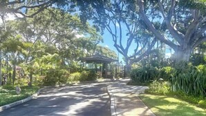 Um caminho de paralelepípedos leva a um edifício com entrada coberta, rodeado por vegetação exuberante e árvores.