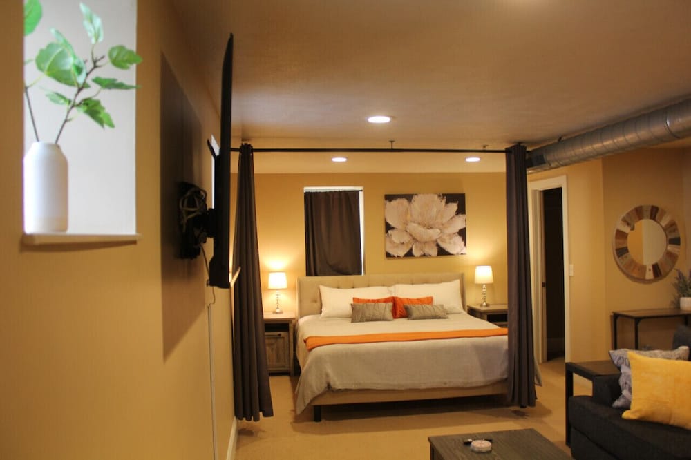 131 Cedar 5 · Luxury Studio With Full Kitchen In Downtown Kalamazoo - Kalamazoo, MI