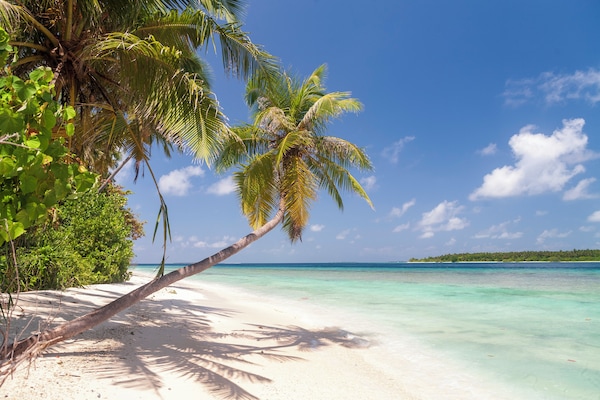 Praia particular nas proximidades, areia branca, guarda-sóis