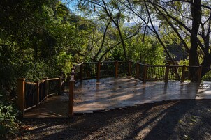 Uma ponte de madeira com grades de metal em uma área arborizada.