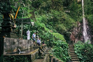Uma escadaria de pedra leva a uma cascata rodeada por vegetação exuberante.