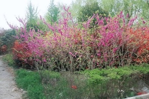 Terrenos do alojamento