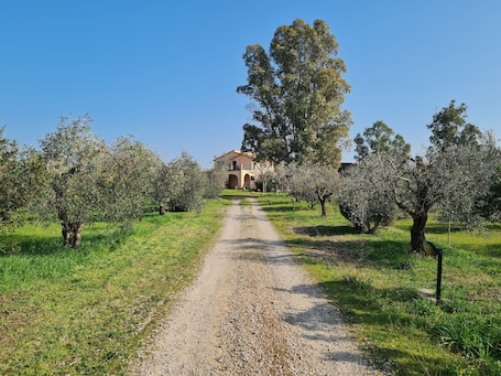 Fachada do alojamento. Agriturismo Buonavista - Parco della Maremma