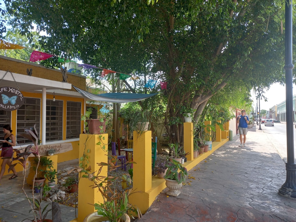 カフェ ホスタル バリャドリッド - ユカタン