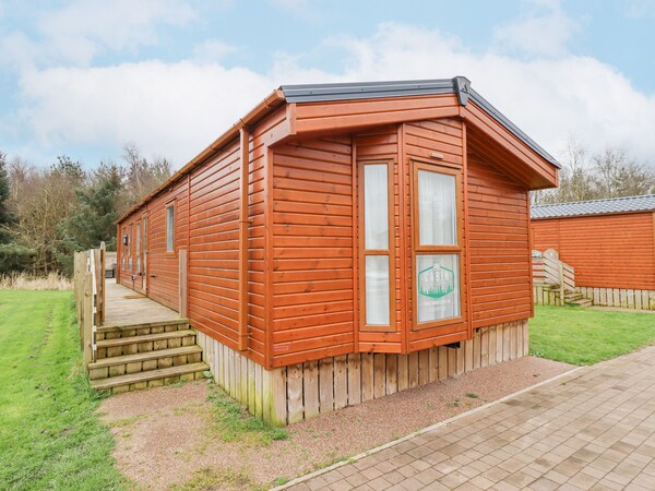 ドラコ - ノーサンバーランド