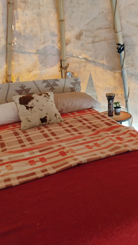 Peaceful Starry Nights Camping In Joshua Tree! - ジョシュア・ツリー