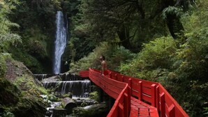 Uma ponte vermelha sobre uma cachoeira em uma floresta exuberante.