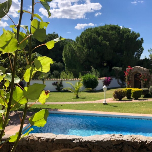 Tottam Experience - Andalousie