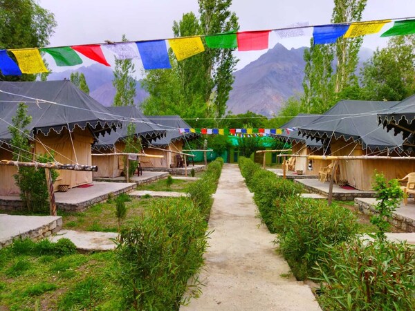 Tongspon Camp - Nubra Valley