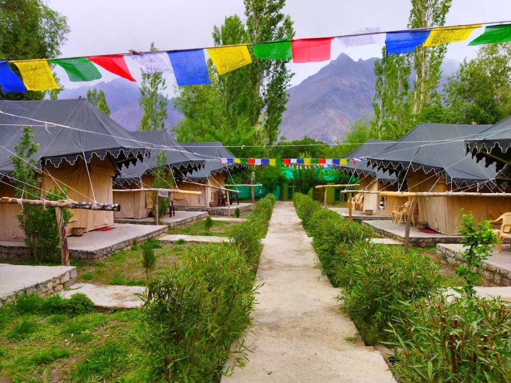 Tongspon Camp - Nubra Valley