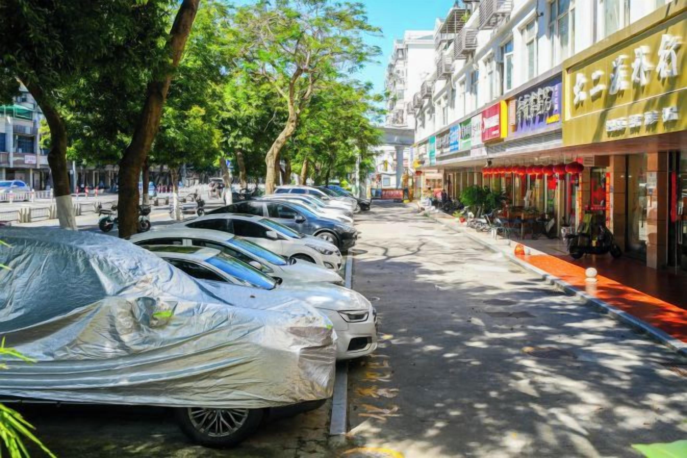 Fila de carros estacionados em rua arborizada, com edifícios de um lado.
