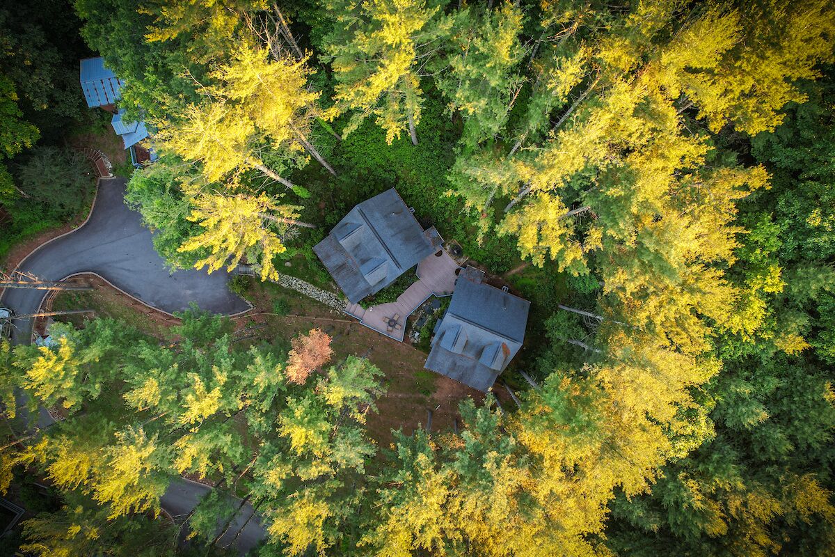 Vista aérea de uma área residencial com duas casas rodeadas por árvores de folhagem amarela intensa, uma estrada sinuosa e uma pequena ponte.
