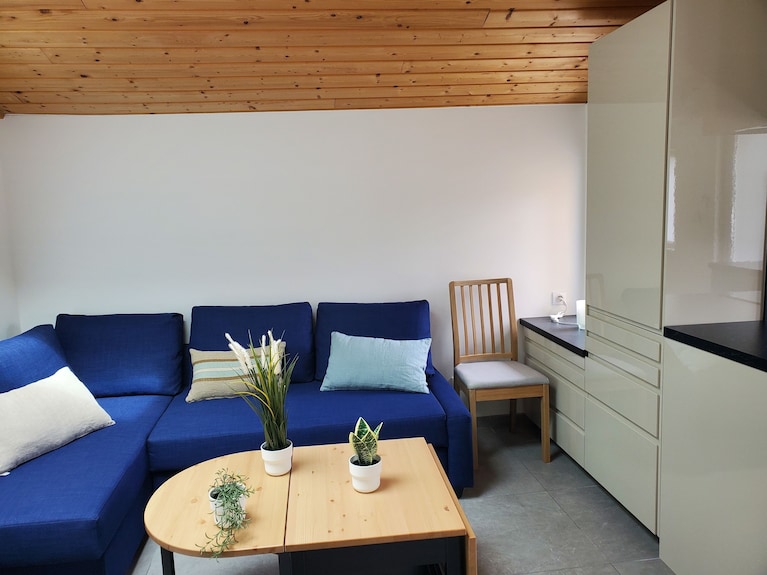 Chalet Tout Confort Proche à 5 Minutes Du Parc Et Des Thermes - Vittel