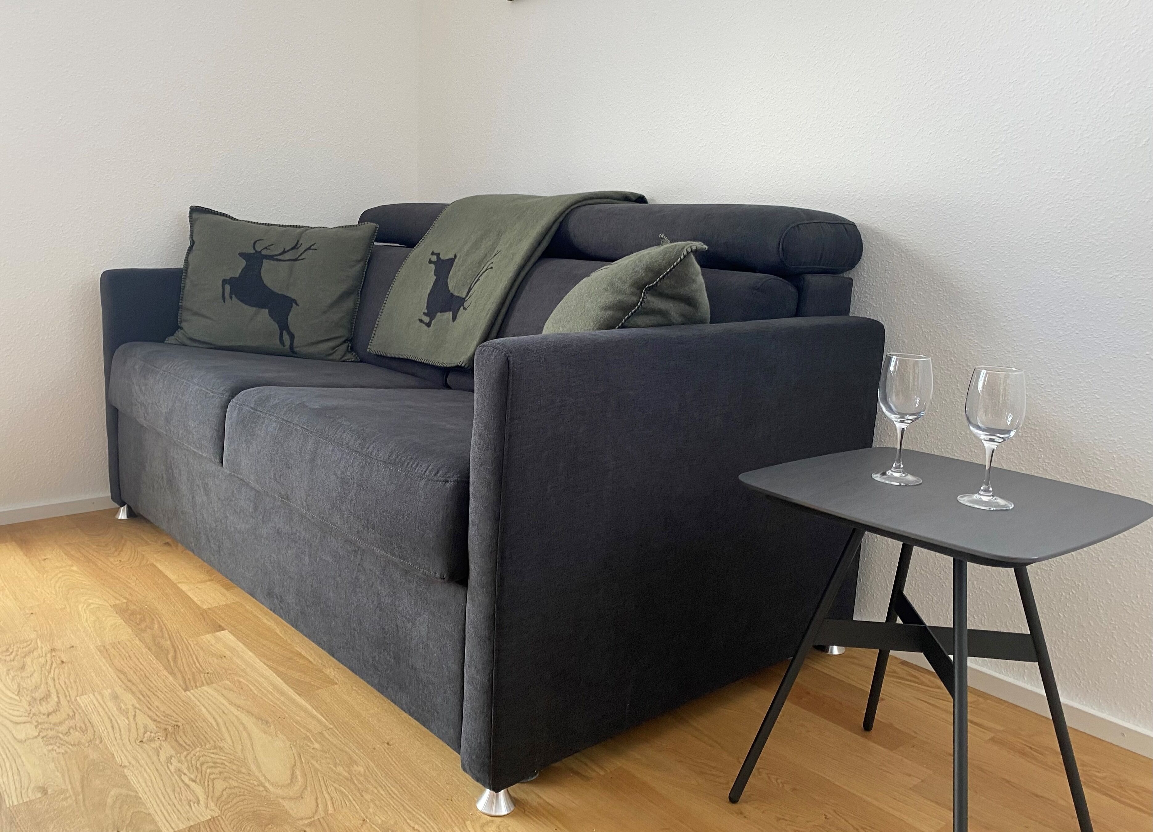 Vacation Apartment/apartment For 4 Guests With 58m² In Feldberg (Black Forest) (170529) - Feldberg