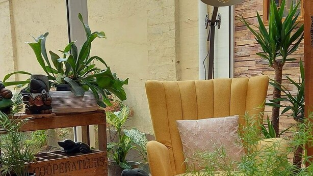 Um quarto aconchegante com uma poltrona amarela, uma estante de madeira com plantas e uma mesa com um vaso de planta.