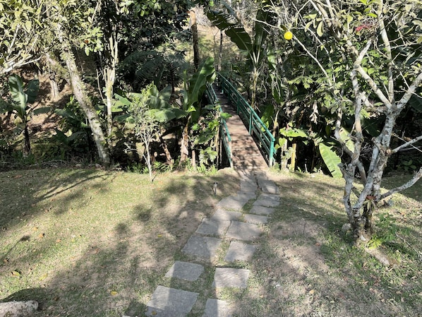 Jardim