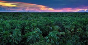 Ecoturismo
