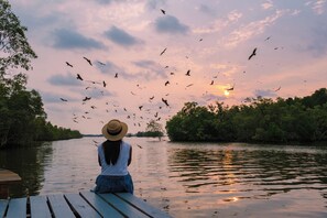 Ecoturismo