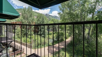 Estúdio | Terrenos do alojamento