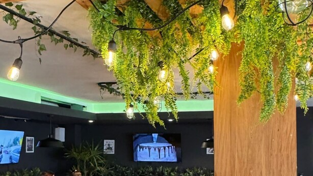 Um restaurante acolhedor com mesas e cadeiras de madeira, plantas pendentes e uma grande árvore como peça central.
