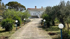 Uma trilha leva a um edifício com fachada branca e telhado vermelho, rodeado por vegetação e palmeiras.