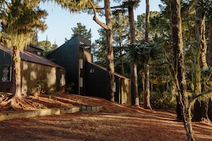 Um edifício moderno com telhado inclinado, rodeado por árvores altas e uma área arborizada.