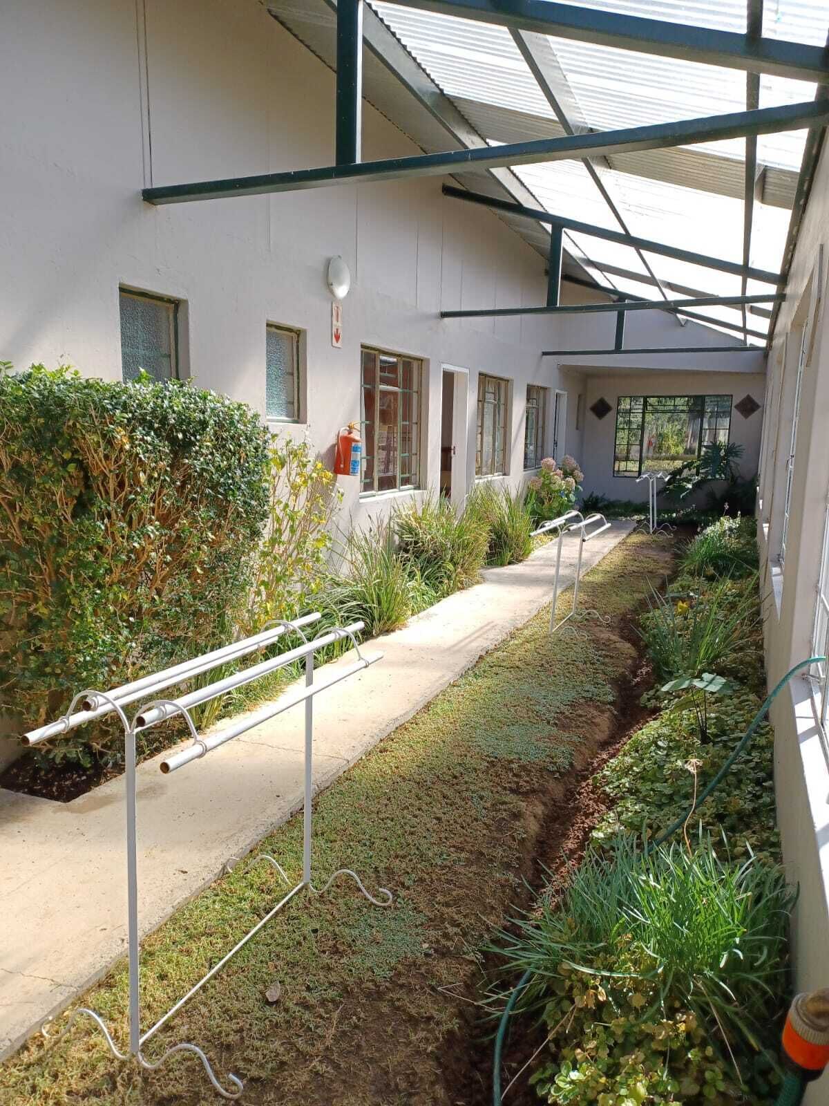 Área externa coberta com um caminho, grades de metal e diversas plantas.