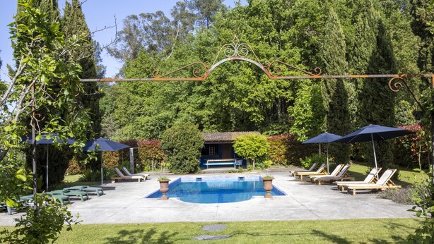 Piscina com espreguiçadeiras e guarda-sóis, cercada por árvores e um pequeno edifício.