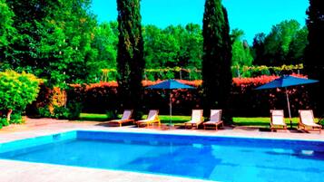 Piscina com espreguiçadeiras e guarda-sóis, cercada por vegetação e árvores altas.