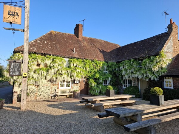 The Fox Goes Free - South Downs