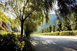 Área da propriedade