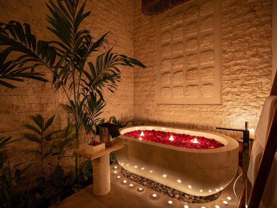 Espaço de spa com parede de pedra, banheira cheia de pétalas de rosa e uma planta grande.