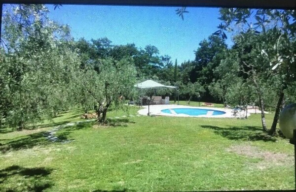 Fuccioli Ii - Toscane