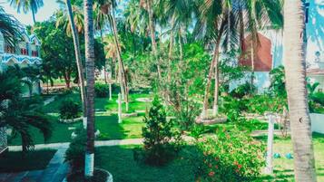 Jardim