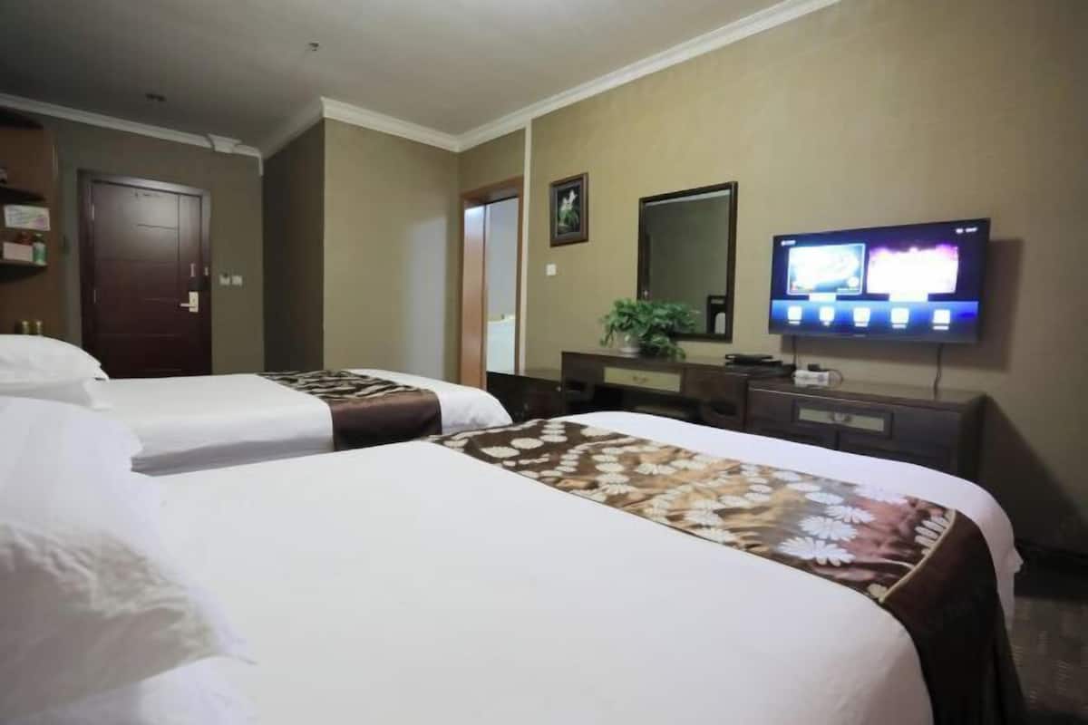 Quarto de hotel com duas camas, televisão, espelho e mesa com uma planta.