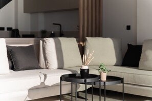 Quarto exclusivo | Sala de estar | Smart TV 45 polegadas com canais via satélite, TV, Netflix